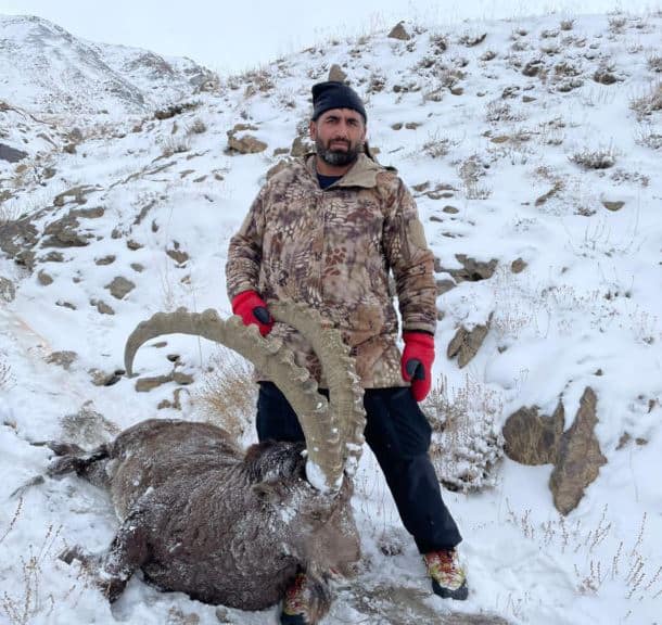 Marco Polo and Ibex Hunting in Tajikistan