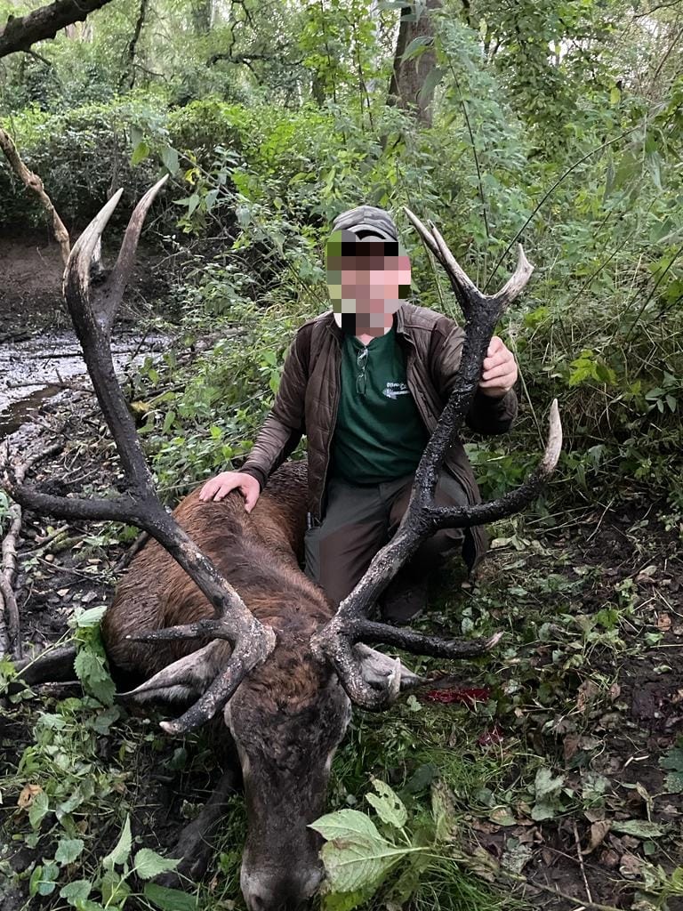 Jagd auf Trophäenhirsche in Polen - Hunter meets Hunter