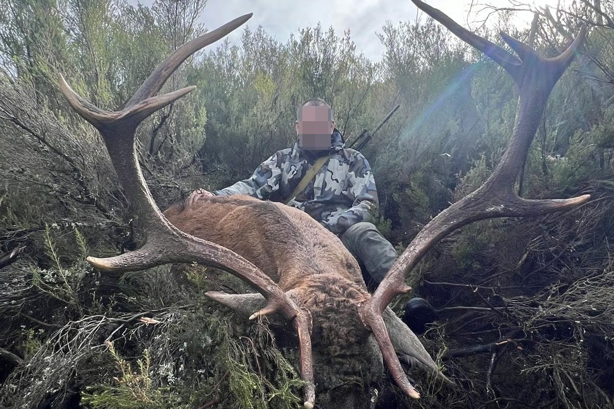 Silbermedaille bei der Jagd auf Iberische Rothirsche