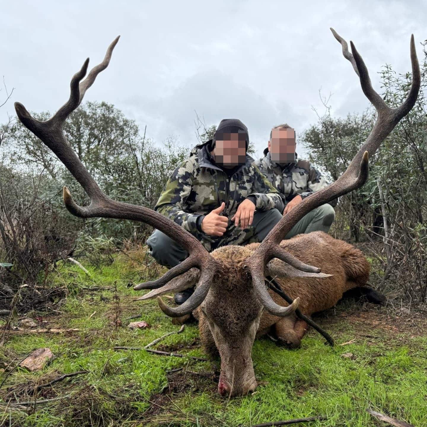 Silbermedaille bei der Jagd auf Iberische Rothirsche