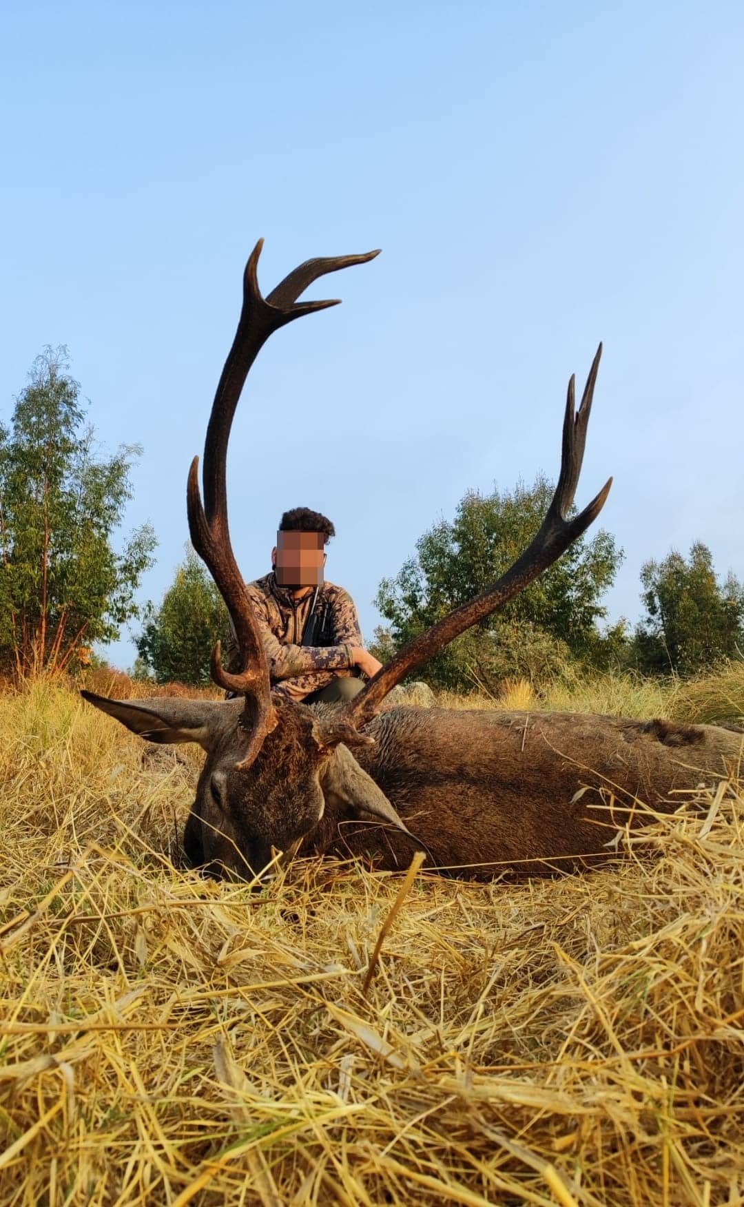 Silbermedaille bei der Jagd auf Iberische Rothirsche