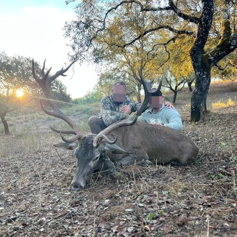 Silbermedaille bei der Jagd auf Iberische Rothirsche