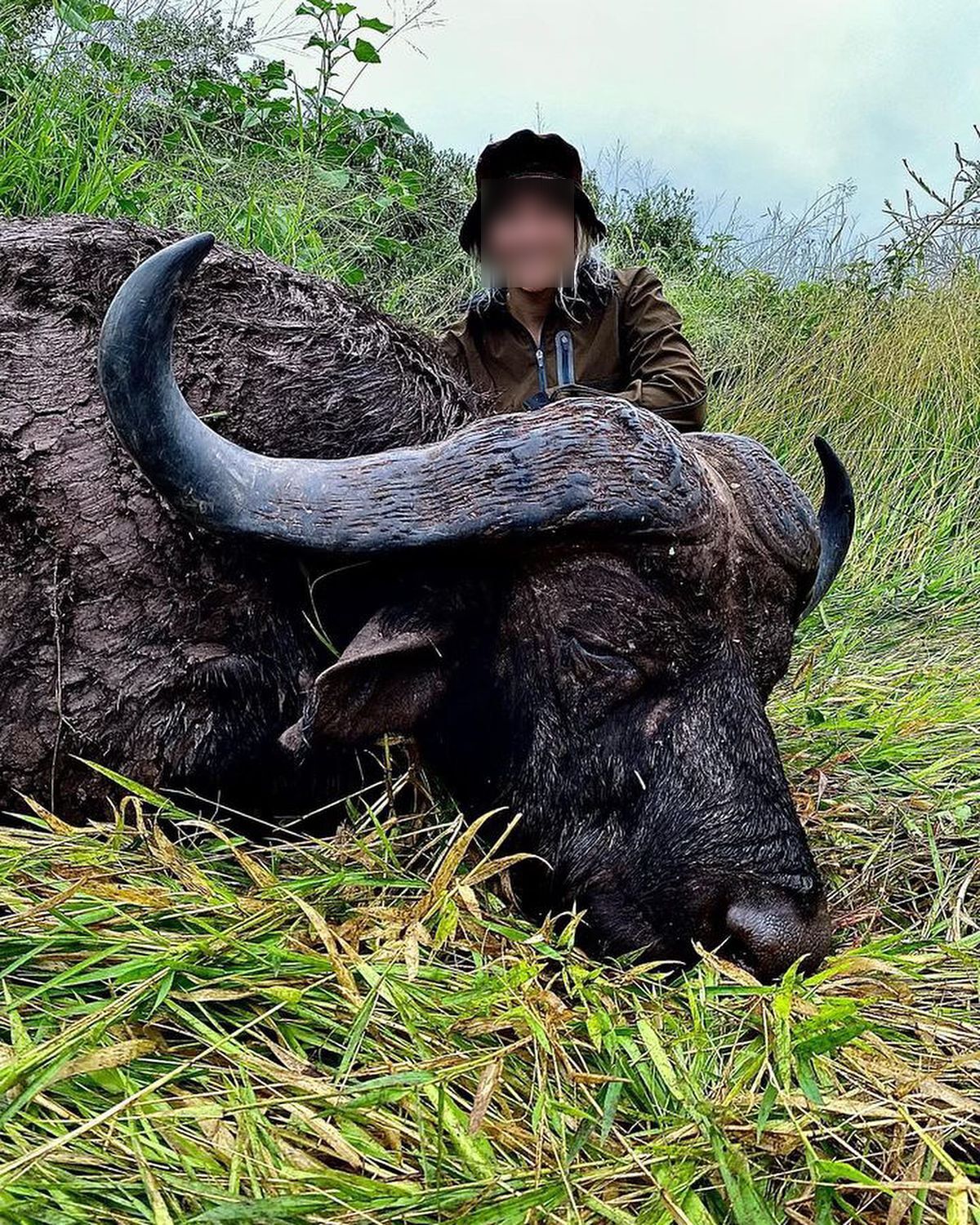 Cape Buffalo Hunt in South Africa
